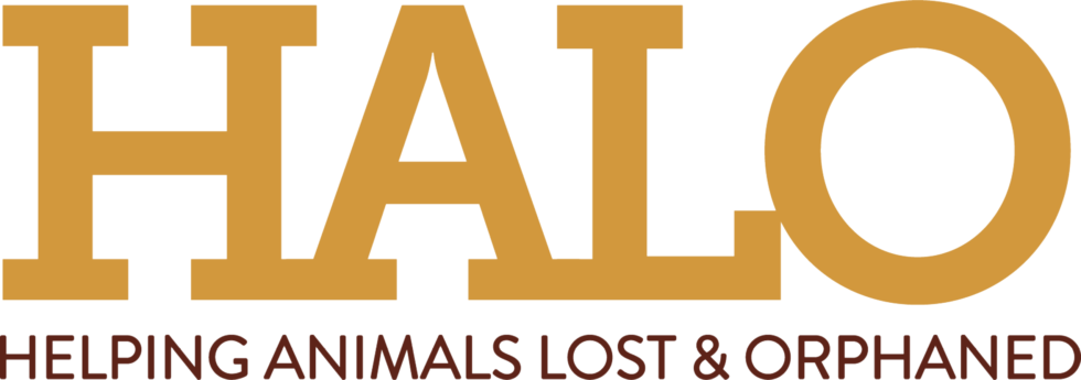 Home - Halo K9 Behavior